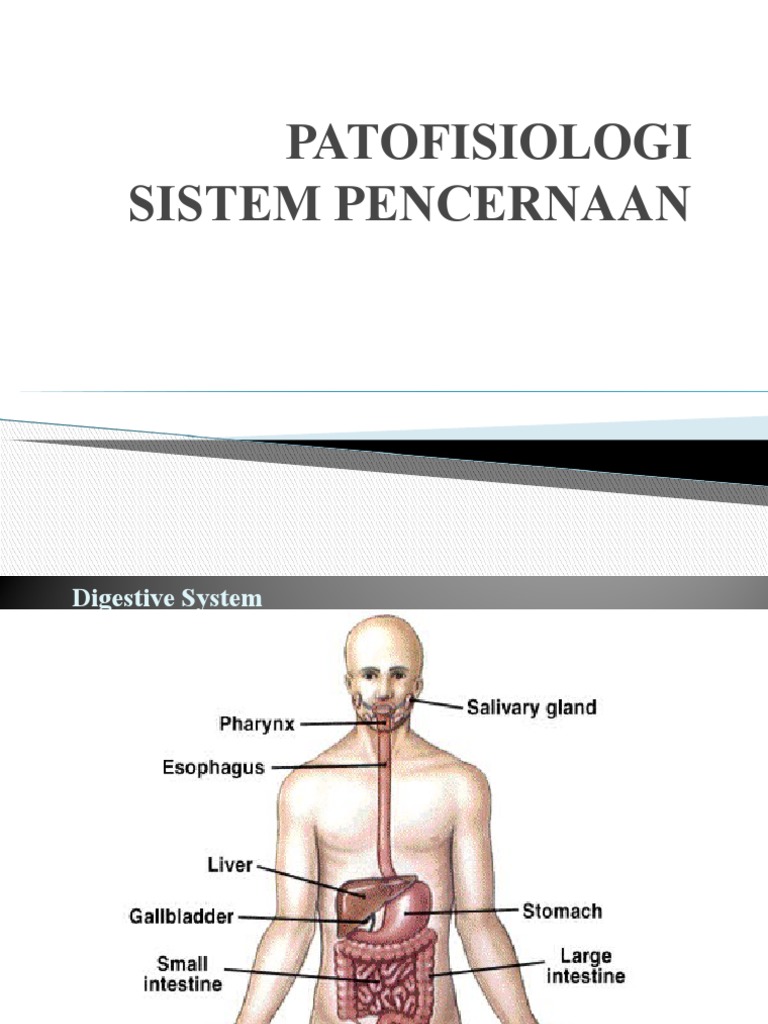 Anatomi_Fisiologi_Sistem_Pencernaan | PDF