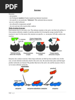 Catalase Experiment-Lab Manual | PDF | Enzyme | Catalysis