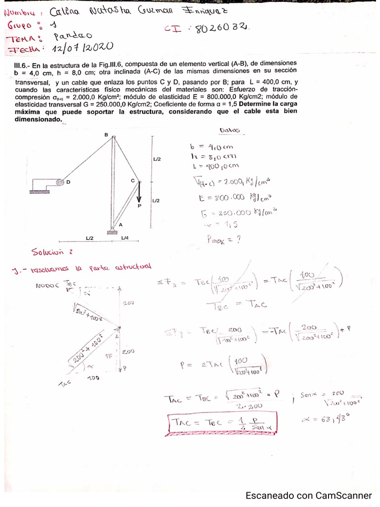Guzman Enriquez Celina Natasha | PDF