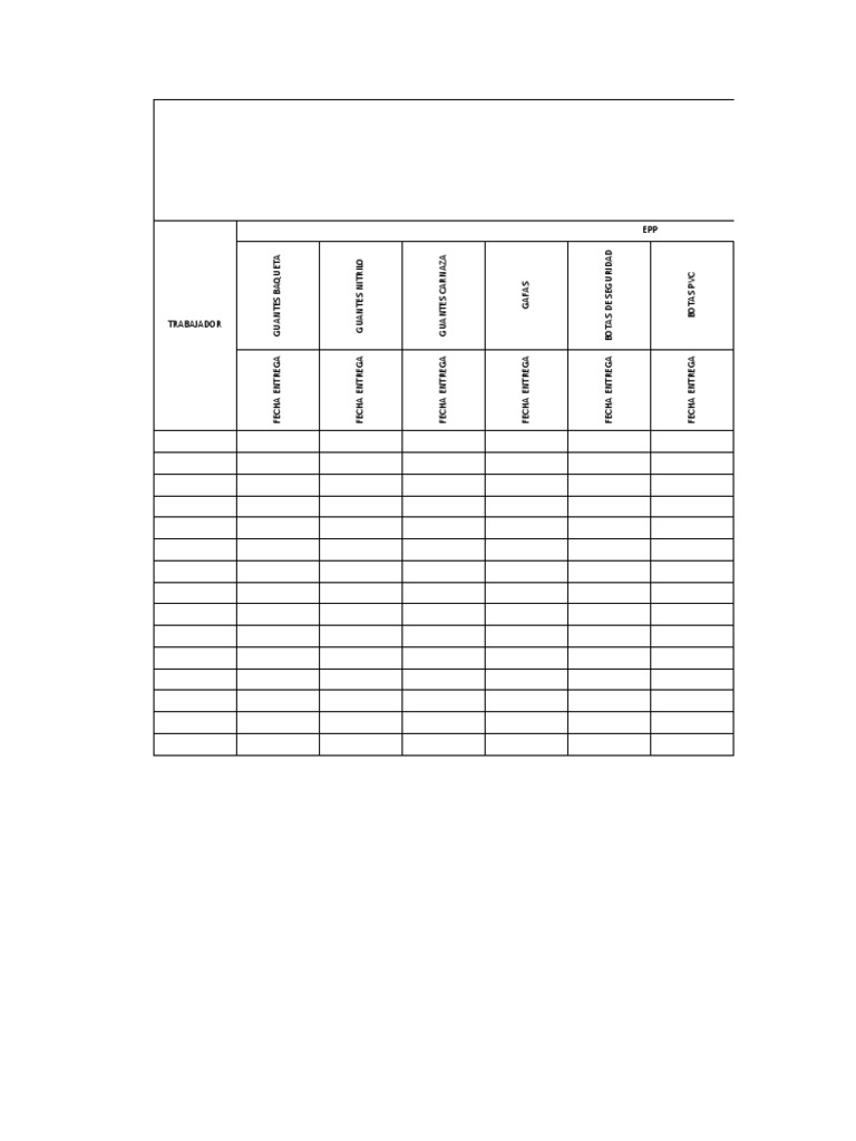 Control Entrega Epp | PDF