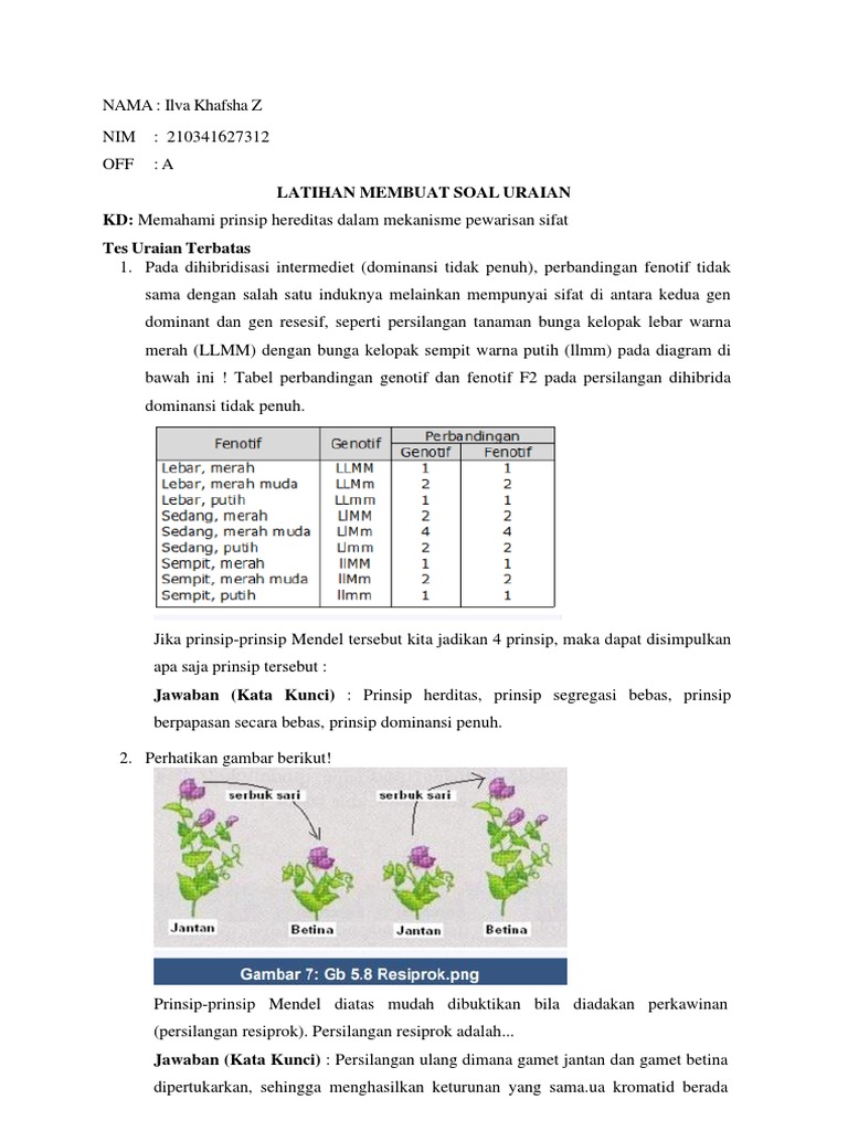 Latihan Membuat Soal Uraian | PDF