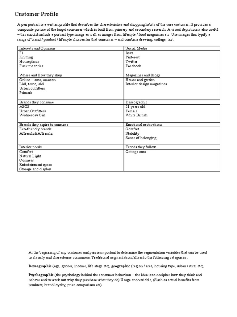 Customer Profile Demographics | PDF | Market Segmentation | Brand