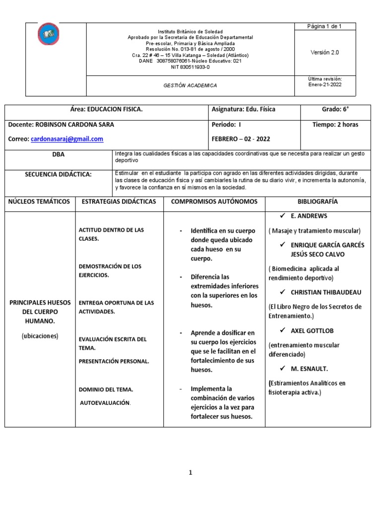 Formato Plan de Clase 1 2022 | PDF | Terapia física | Educación Física