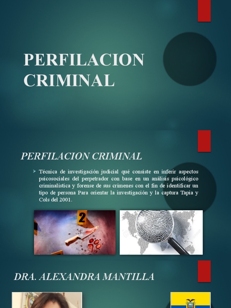 Perfilacion Criminal | PDF | Perfil del delincuente | Temperamento