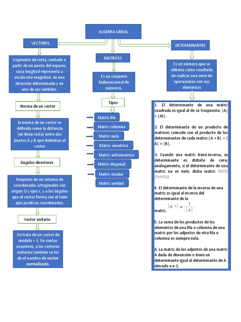 Mapa Conceptual Algebra | PDF | Matriz (Matemáticas) | Vector Euclidiano