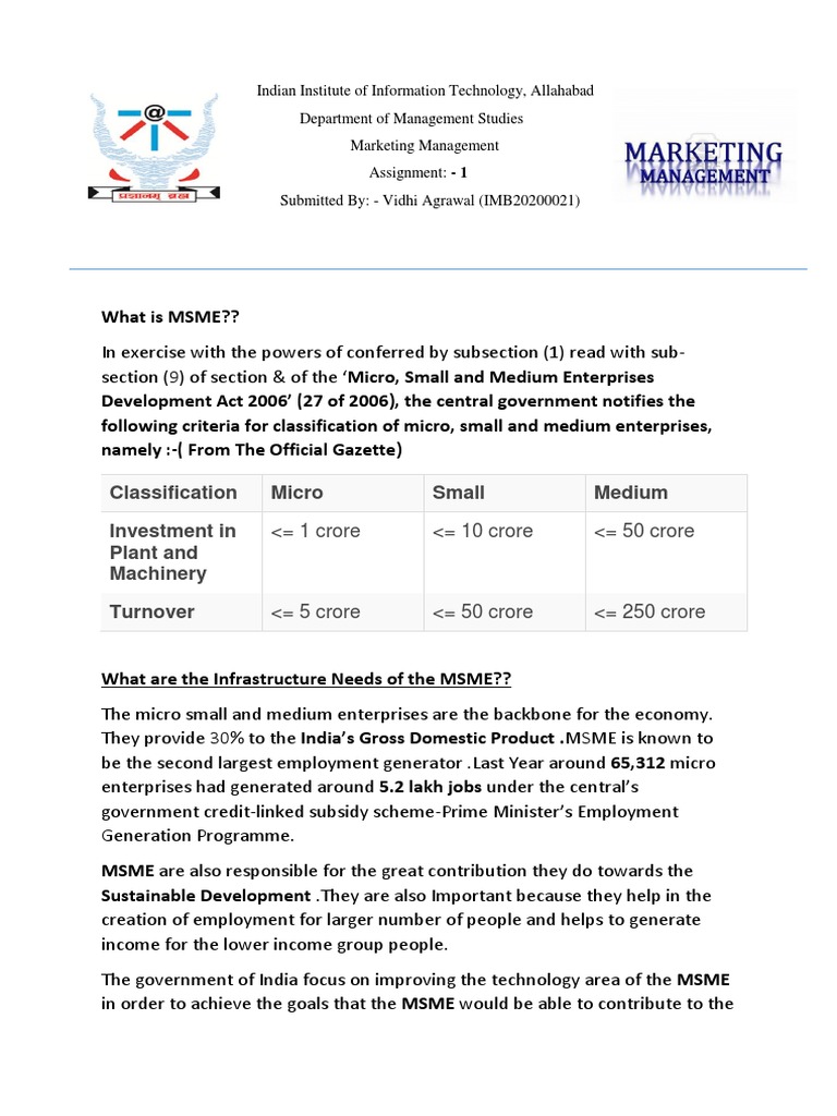 IMB2020021 MM Assignment1 | PDF | Small And Medium Sized Enterprises | Information And ...