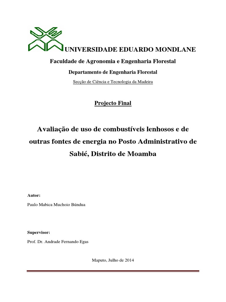 Uso de Energia em Sabié, Moamba 2014 | PDF | Energia renovável | Biomassa