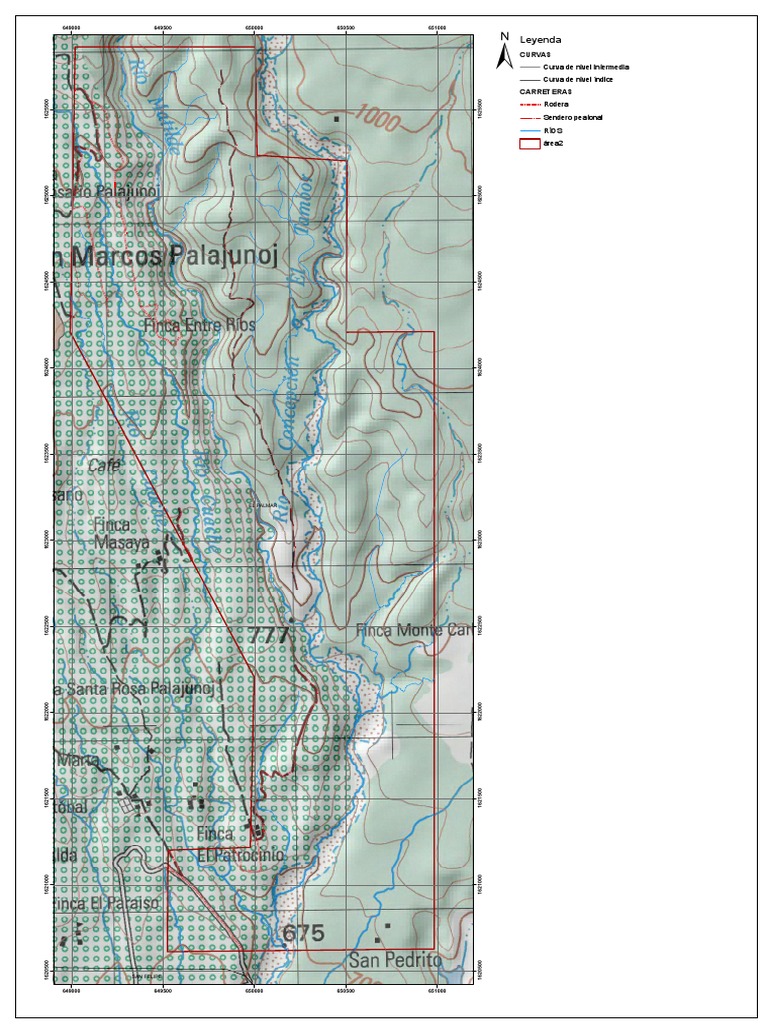 El Nuevo Palmar PDF | PDF