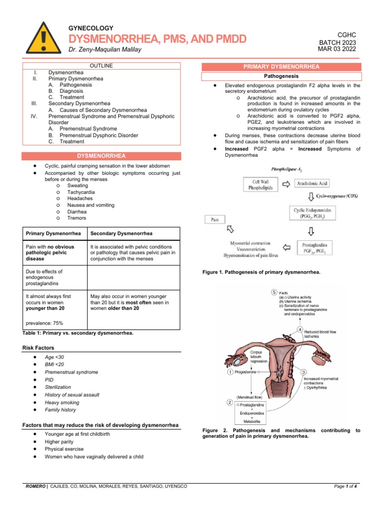 [GYNE-TRANS] 3.07A Dysmenorrhea, PMS and PMDD | PDF | Premenstrual Syndrome | Nonsteroidal Anti ...