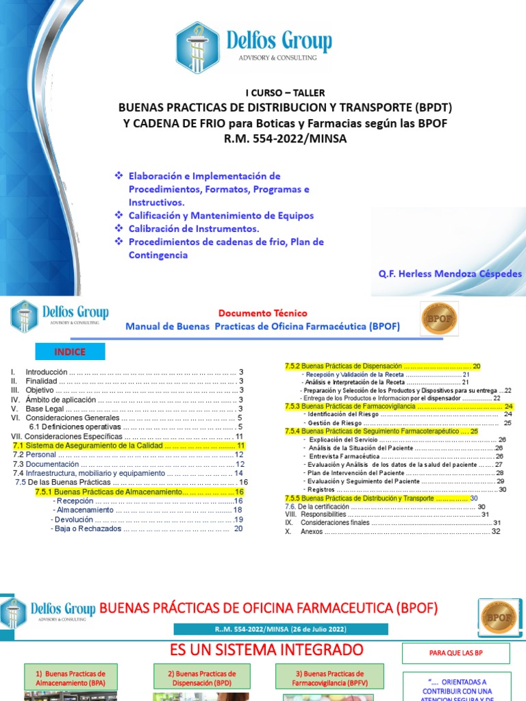 Presentación Dr. Herless Mendoza - BPDT | PDF