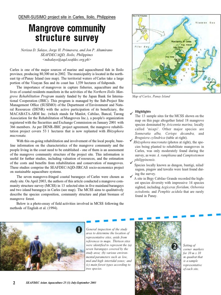 Mangrove Community Structure Survey in Carles | PDF | Mangrove