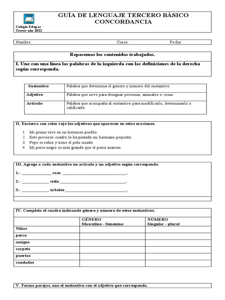Guía de Lenguaje Concordancia Tercero Básico | PDF | Adjetivo | Sustantivo