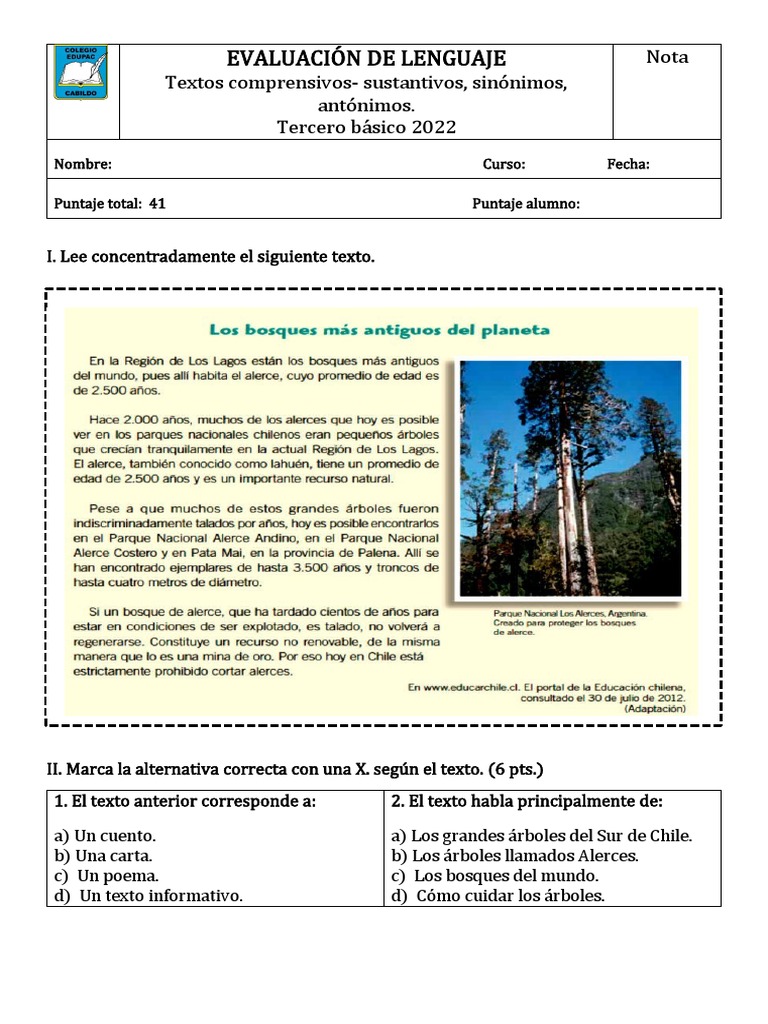 Evaluación de Lenguaje Sinonimos, Antonimos, Textos Descriptivos ...