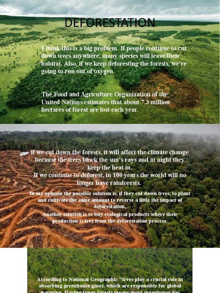 DEFORESTATION | PDF | Home & Garden | Science & Mathematics
