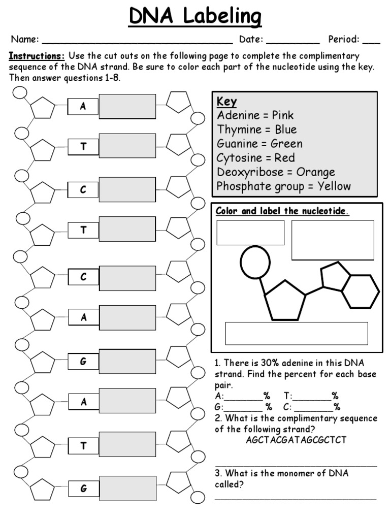 DNALabeling 1 PDF | PDF