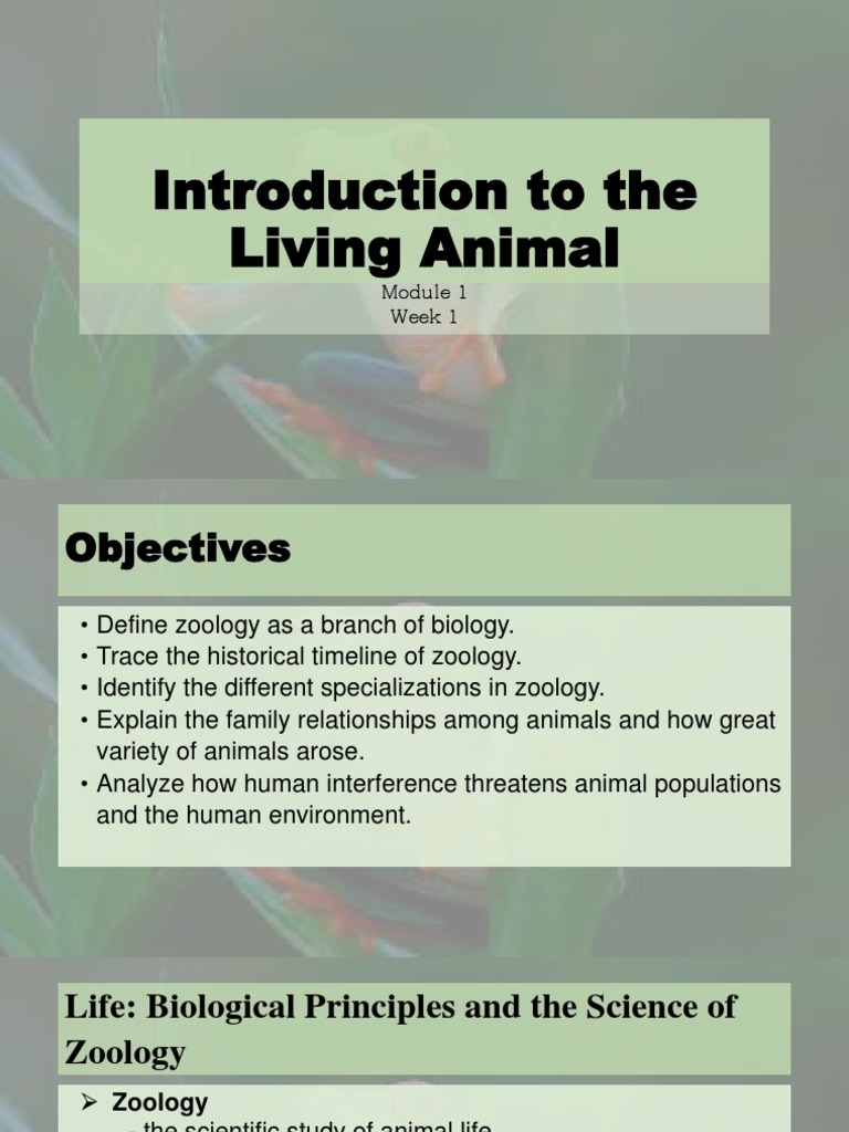 Module 1 - Introduction To The Living Animal | PDF | Zoology | Evolution