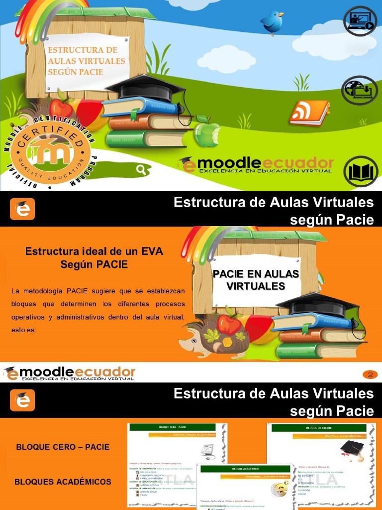 Presentación PACIE PDF | PDF