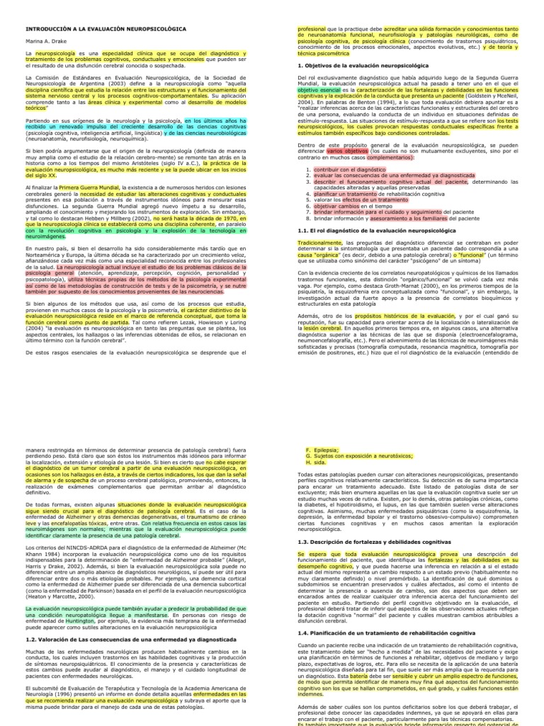 Burin PDF | PDF | Neuropsicología | Validez (Estadísticas)