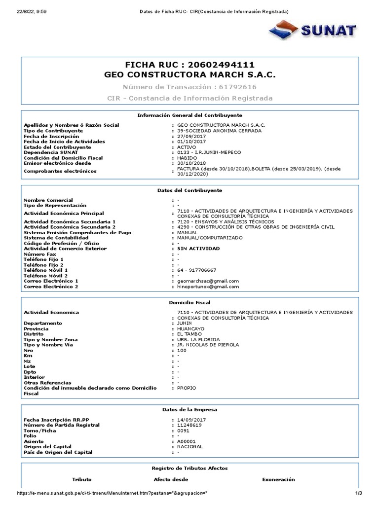 Ficha Ruc Geo PDF | PDF | Business | Industrias de servicio