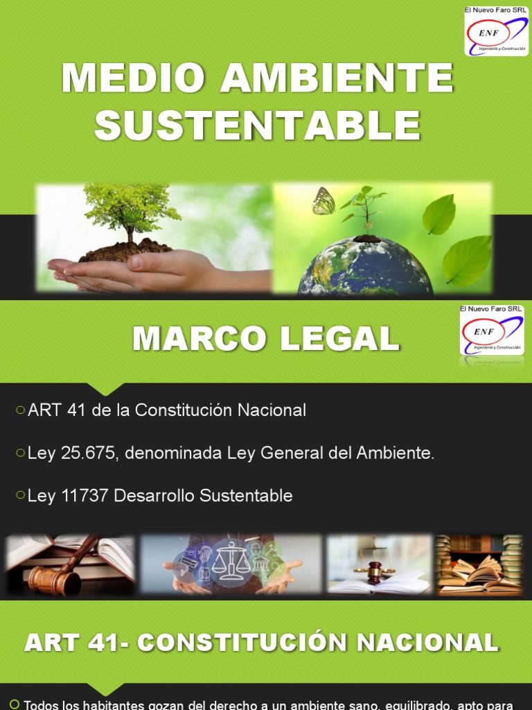 Medio Ambiente Sustentable | PDF | Sustentabilidad | Desarrollo sostenible