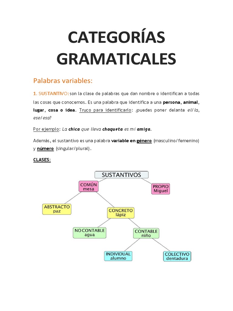 Categorías Gramaticales | PDF | Sustantivo | Numero Gramatical