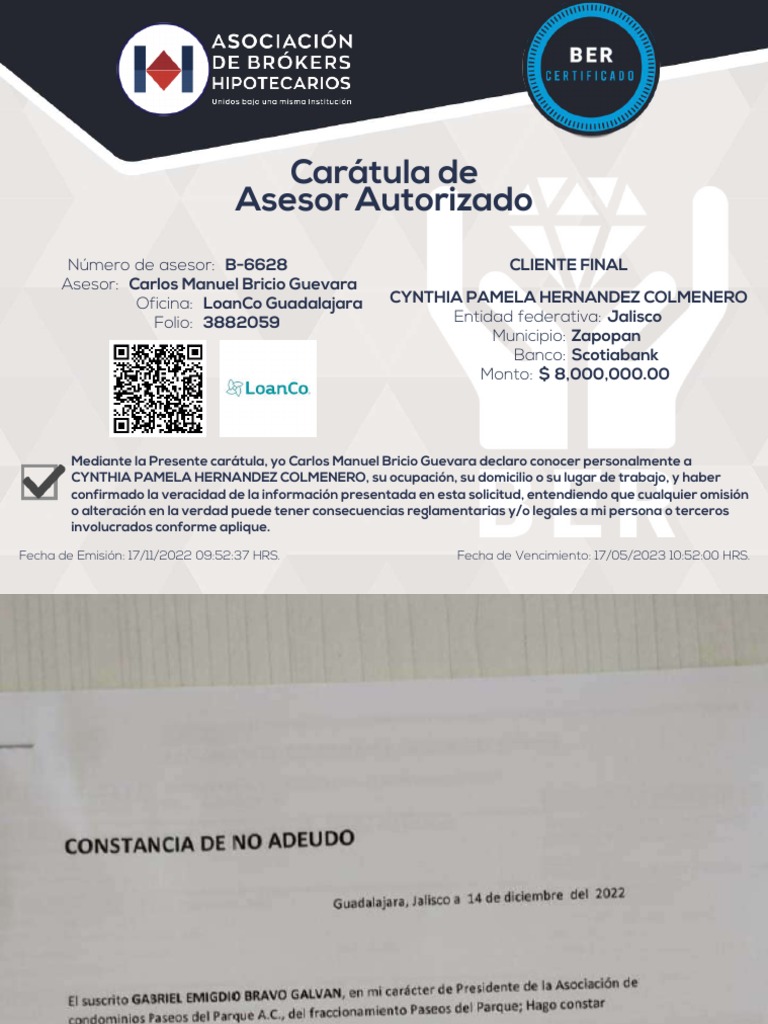 DOCUMENTOS_BASICOS.pdf | PDF | Privacidad de la información | Gobierno