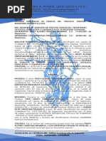 Modelo de Poder para COLPENSIONES | PDF