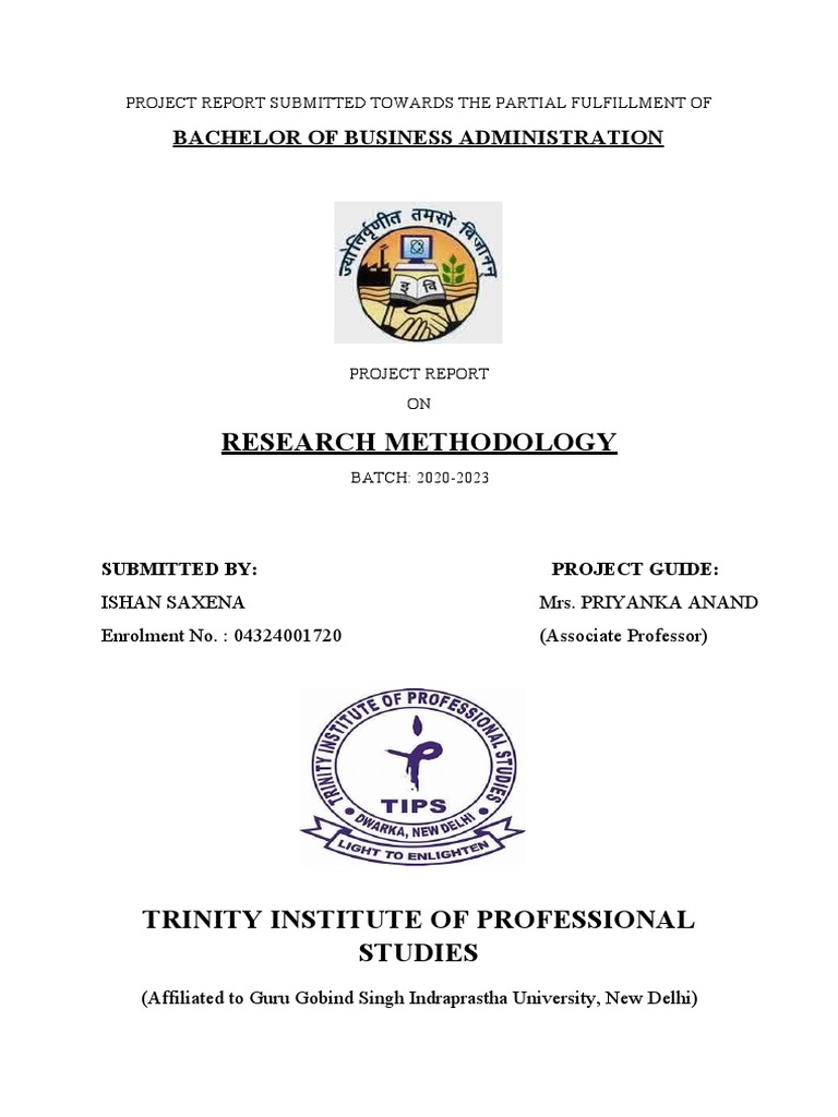 Sample Research Methodology Project Report | PDF