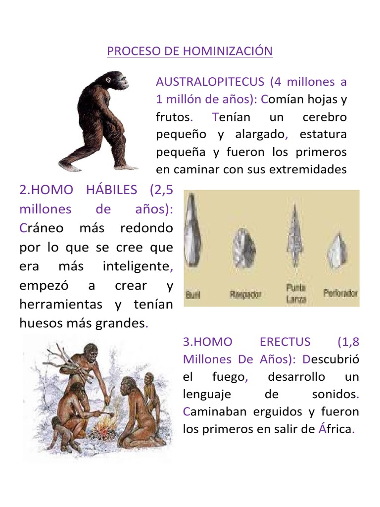 PROCESO DE HOMINIZACIÓN | PDF