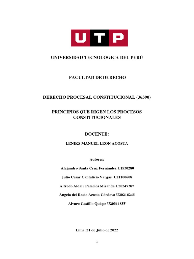 Principios Que Rigen Los Procesos Constitucionales | PDF | Ley procesal ...