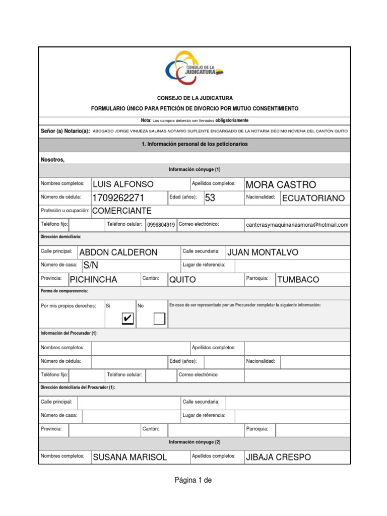 Solicitud de divorcio por mutuo consentimiento de Luis Alfonso Mora Castro y Susana Marisol ...