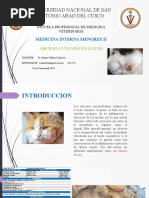 PIOTÓRAX | PDF | Medicina | Inmunología