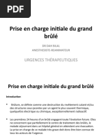 Règle des 9 de Wallace en brûlures | PDF | Brûlure | Médecine