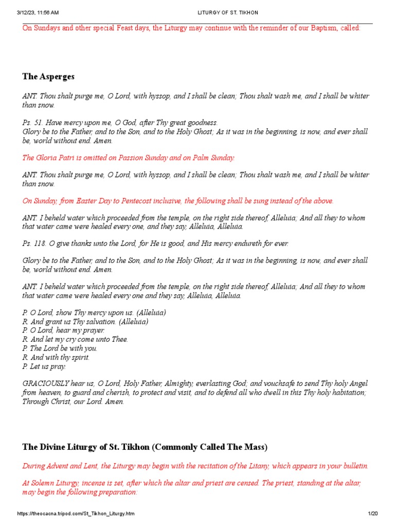 Liturgy of St. Tikhon | PDF | Lord's Prayer | Eucharist