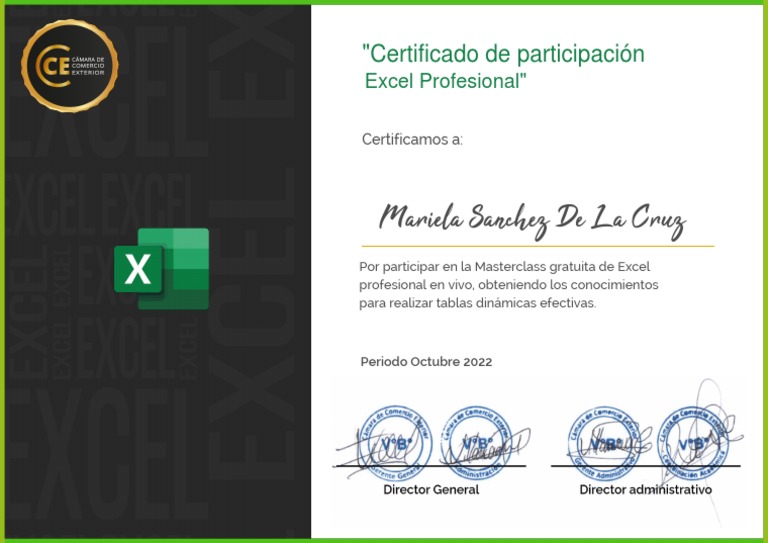 Certificado de Excel | PDF