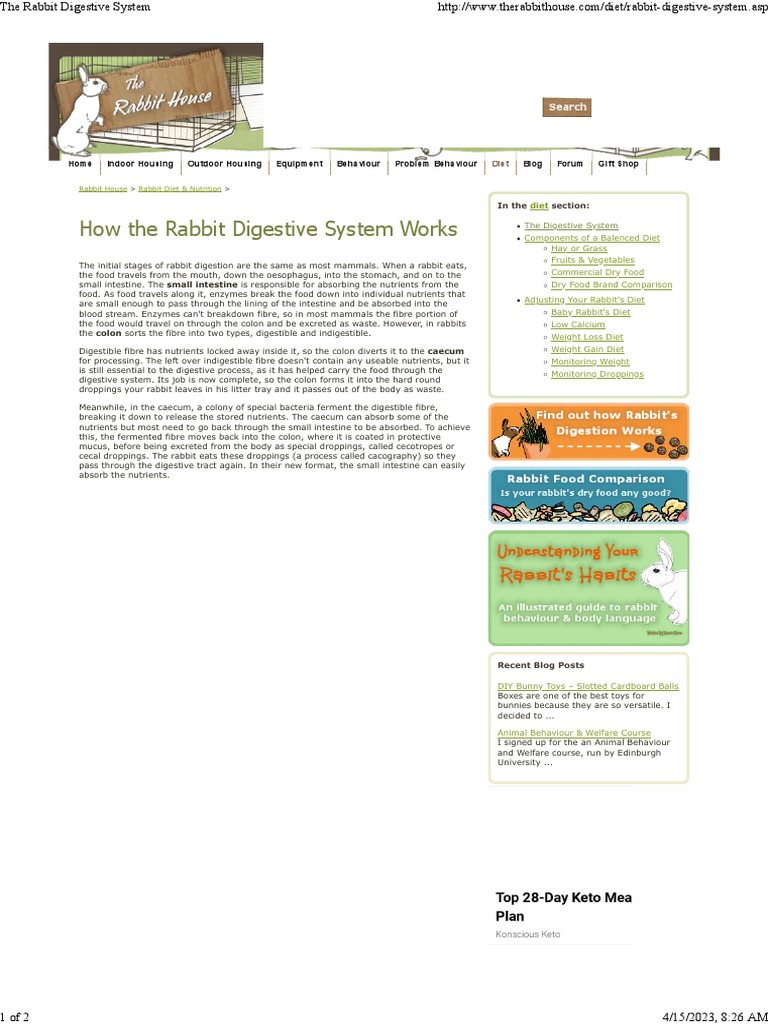 Rabbit Digestive System PDF | PDF | Digestion | Dietary Fiber
