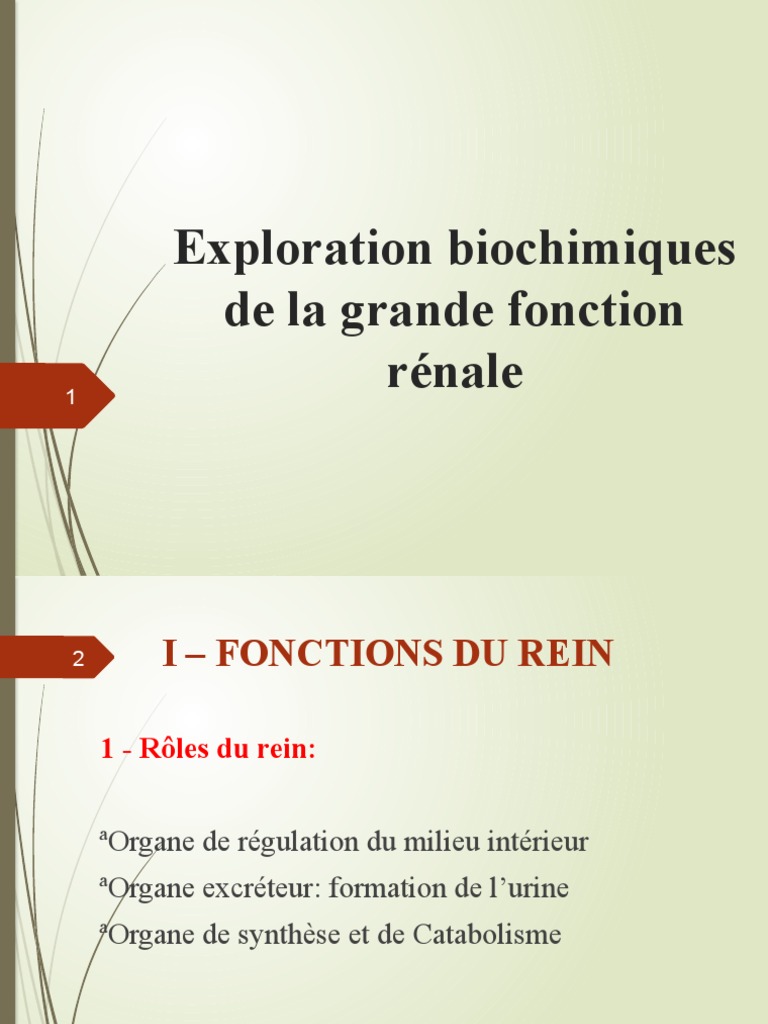 Exploration biochimique de la fonction rénale | PDF | Créatinine | Urine