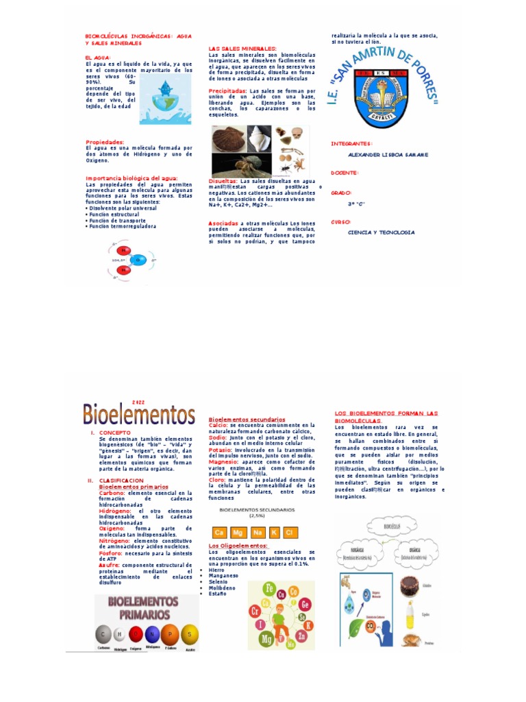Los Bioelementos Triptico - Compress | PDF | Sal (química) | Agua