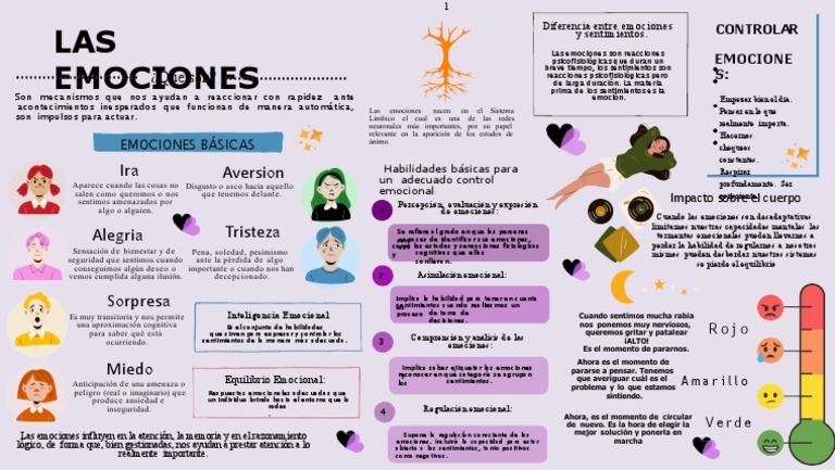 Infografia de Las Emociones | PDF | Las emociones | Atención