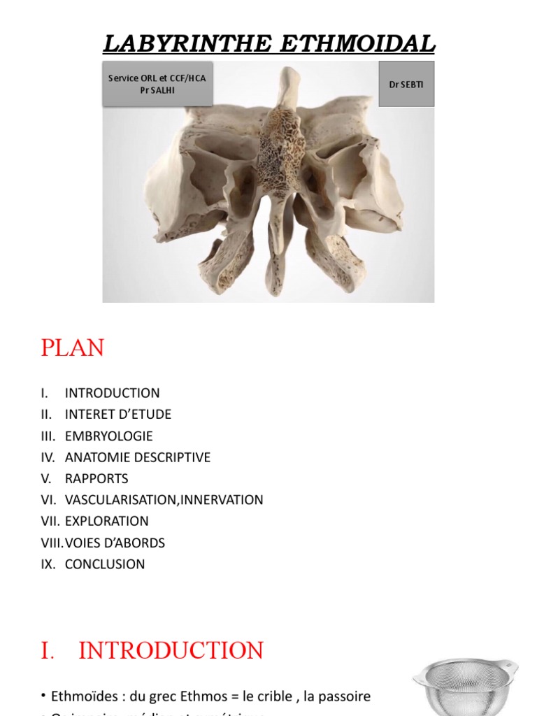 Labyrinthe Ethmoidal | PDF | Système squelettique | Tête et cou chez l ...