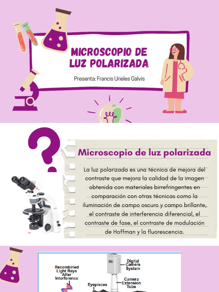 Cómo la microscopía de luz polarizada mejora la visualización de ...