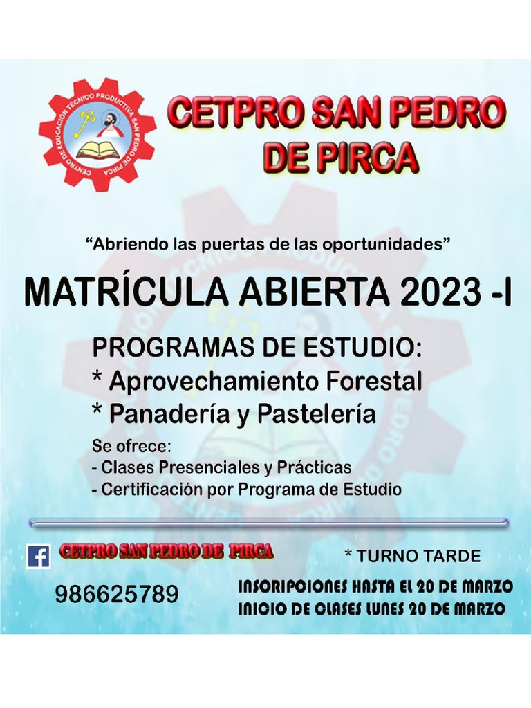 Publicidad CETPRO | PDF