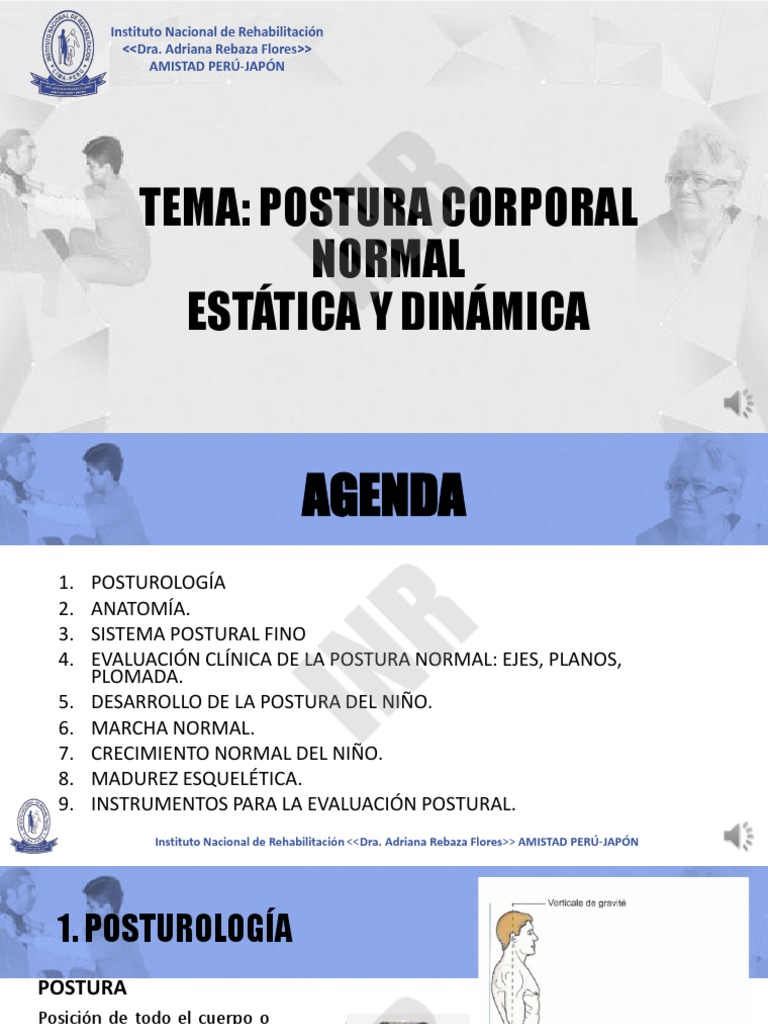 Postura Corporal Normal, Estática y Dinámica | PDF | La columna ...