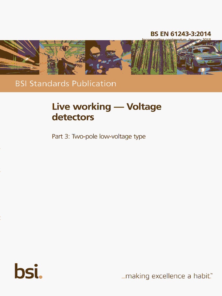 BS en 61243-3-2014 PDF | PDF