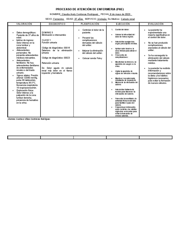 Proceaso De Atención De Enfermeria Pae Pdf Epidemiología Causas