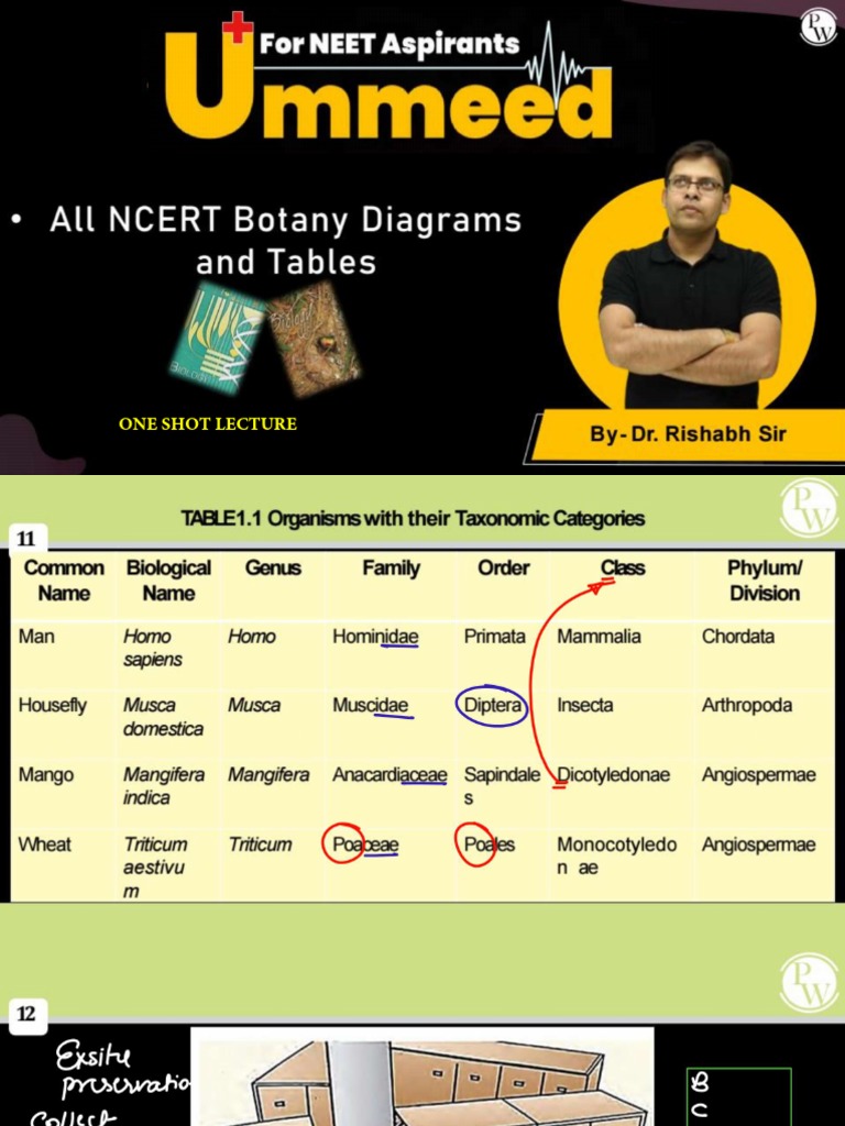 All NCERT Diagrams: Class Notes - Ummeed 2023 | PDF