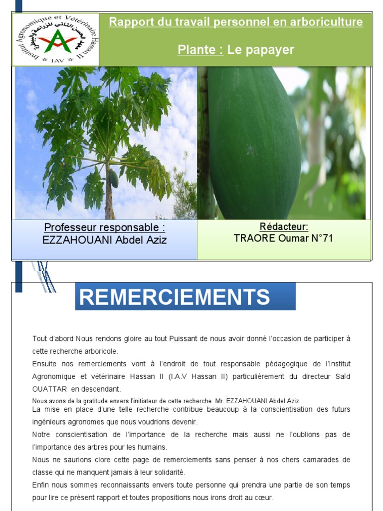 Fiche technique sur le papayer Solo | PDF | Fleurs | Plantation