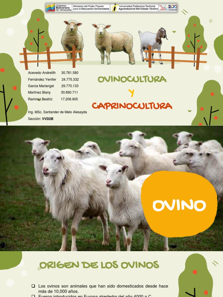 Producción y manejo de ovinos y caprinos: Una comparación de las ...