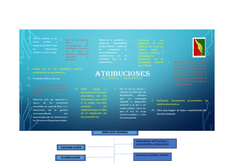 ORGRANIGRAMA Y ESQUEMA DIRNOPLU JAV.docx | PDF