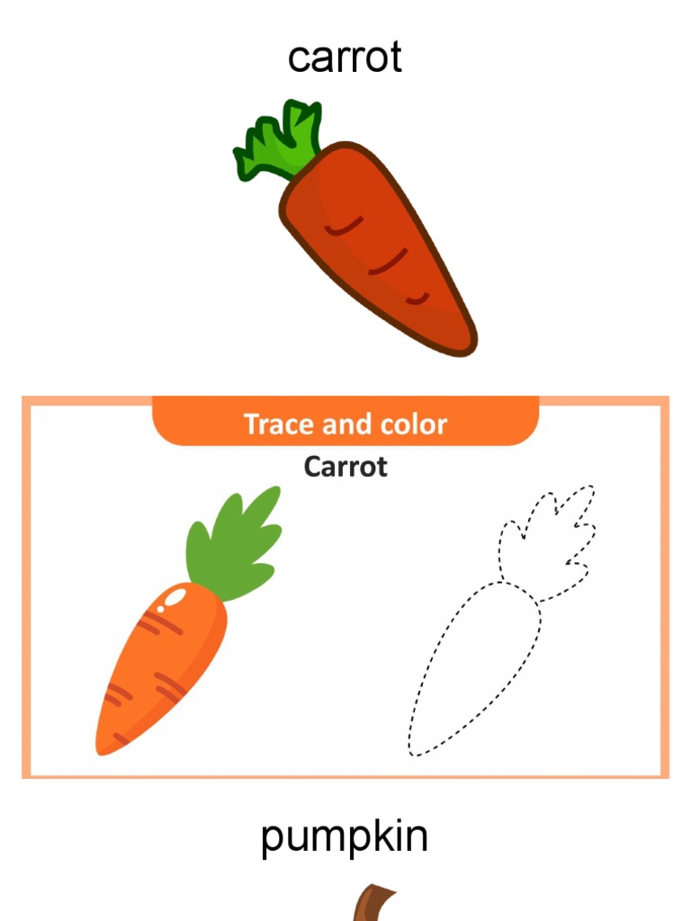 A Comparison of Common Vegetables: Carrots, Pumpkins, Broccoli, Cabbage ...